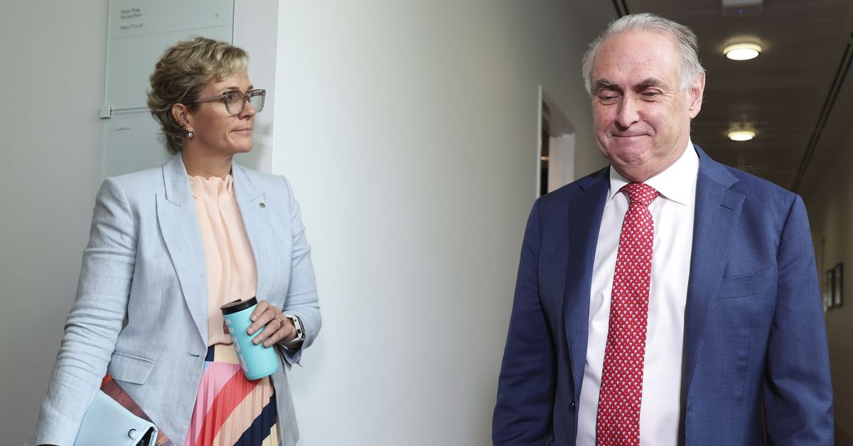 Federal Politics: Teal MP clashes with Labor minister as electoral ...