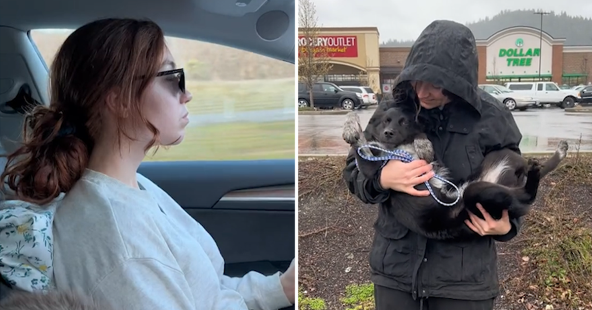 Gog rescues: Goodlin Siblings drive 22 hours to save lives of five ...