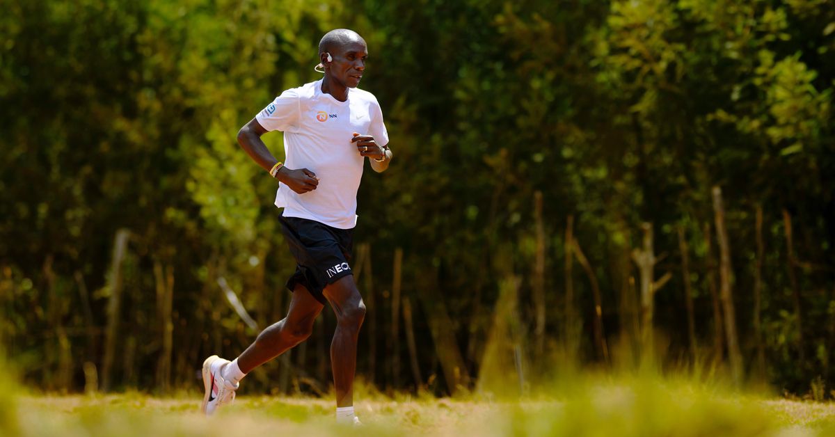 Eliud Kipchoge: World's fastest marathon runner reveals his top five ...