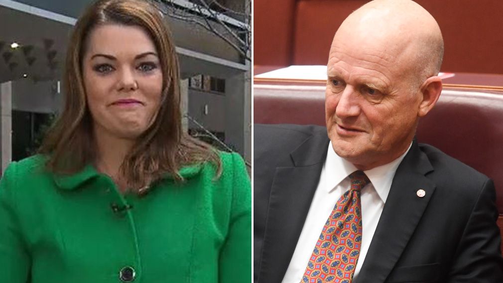 Sarah Hanson-Young slams David Leyonhjelm's 'revolting' slurs