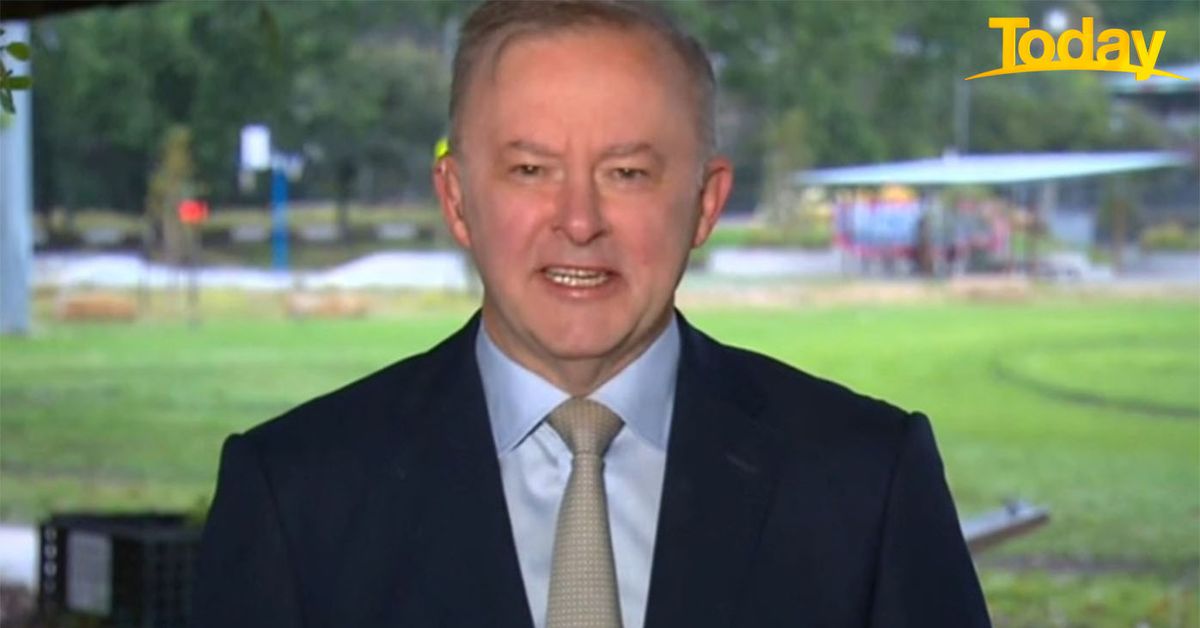 Albo says he's ready for December election announcement