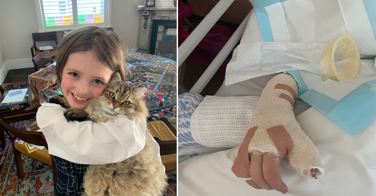 Mum's warning after daughter rushed to ER following cat bite - 9Honey
