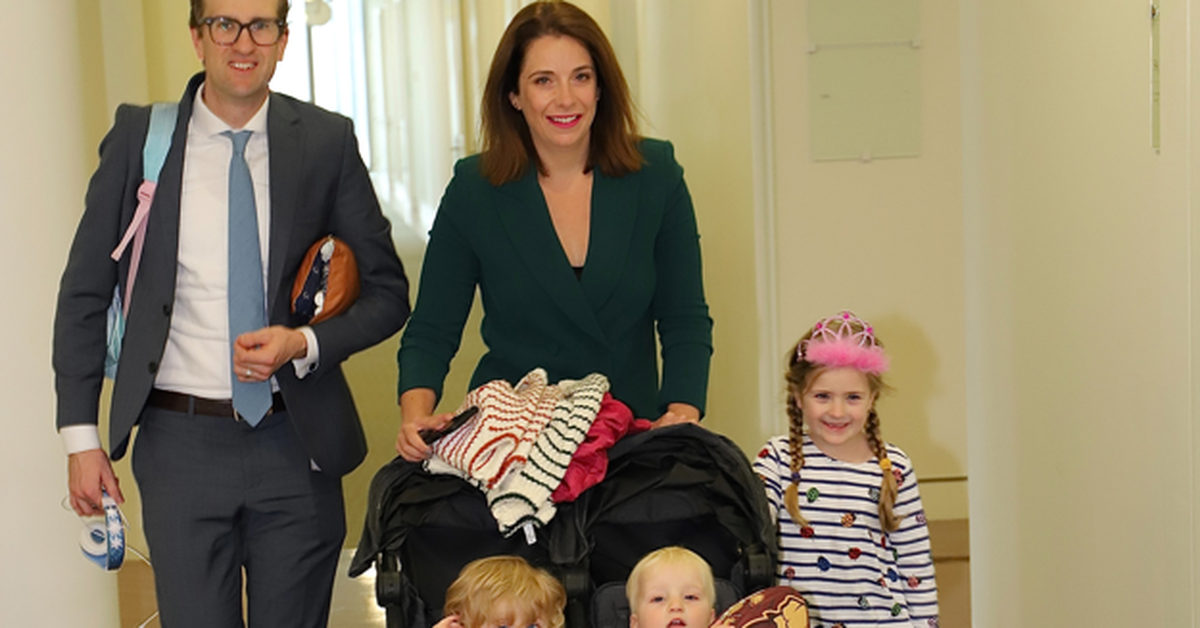 Labor frontbencher Anika Wells stuns with 'remarkable' photo of twins ...