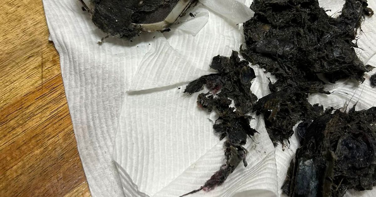 Cleaning tips: Shock washing machine find prompting hundreds to check ...