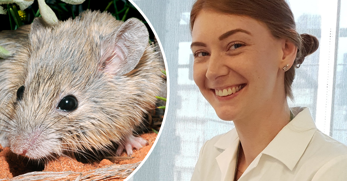 Shark Bay mouse: This critter the size of a Snickers bar was supposed ...