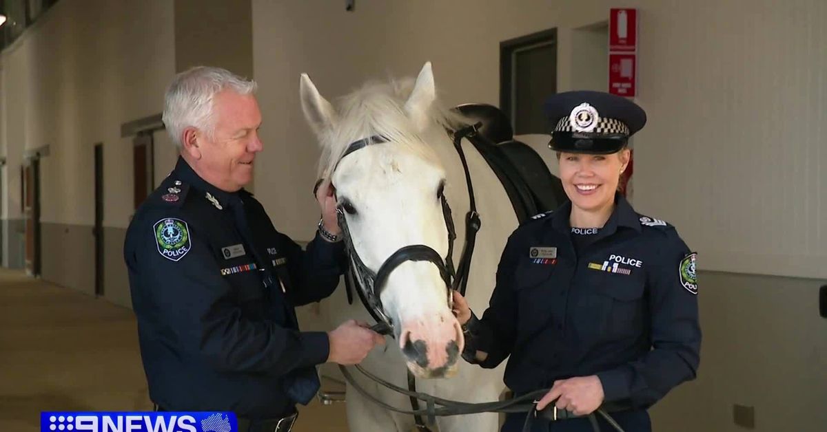 South Australian police horses relocated to $90 million stables