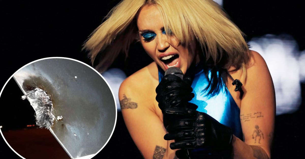 Miley Cyrus' plane makes emergency landing after being struck by ...