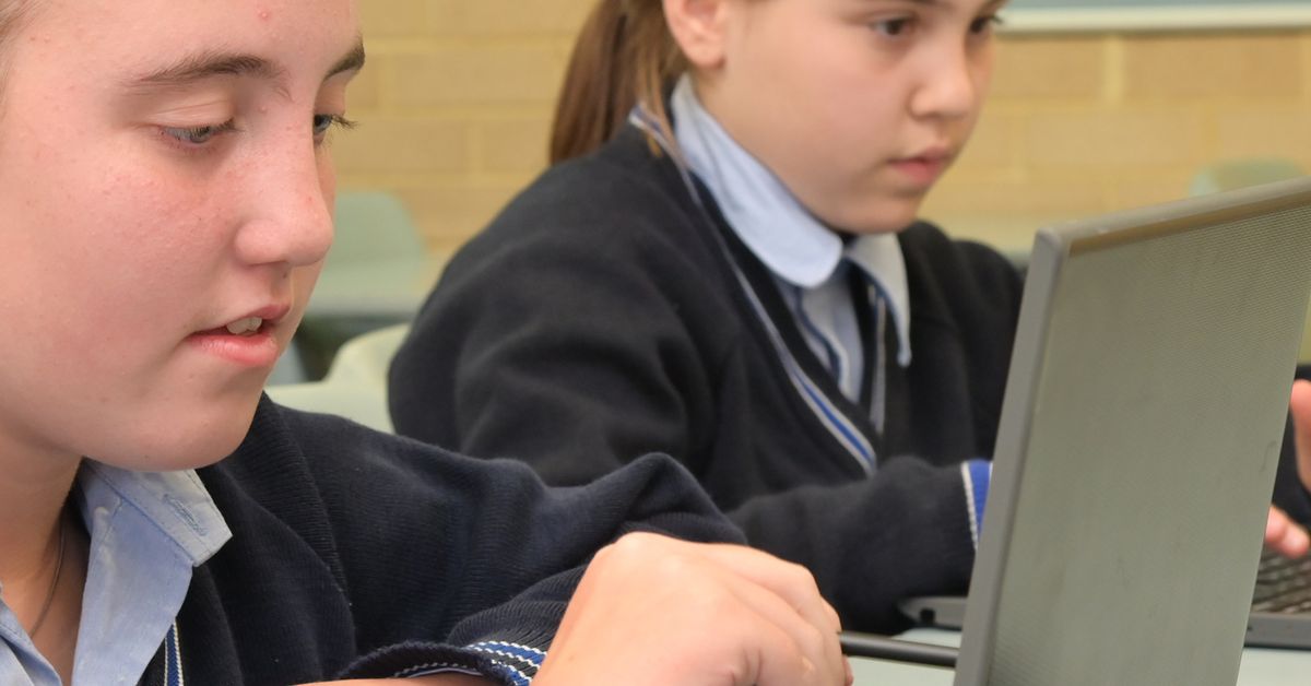 Opinion: Why NAPLAN results should not be made public - 9Honey