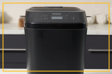 Panasonic SD-PN100 Automatic Compact Bread Maker: Price, features ...
