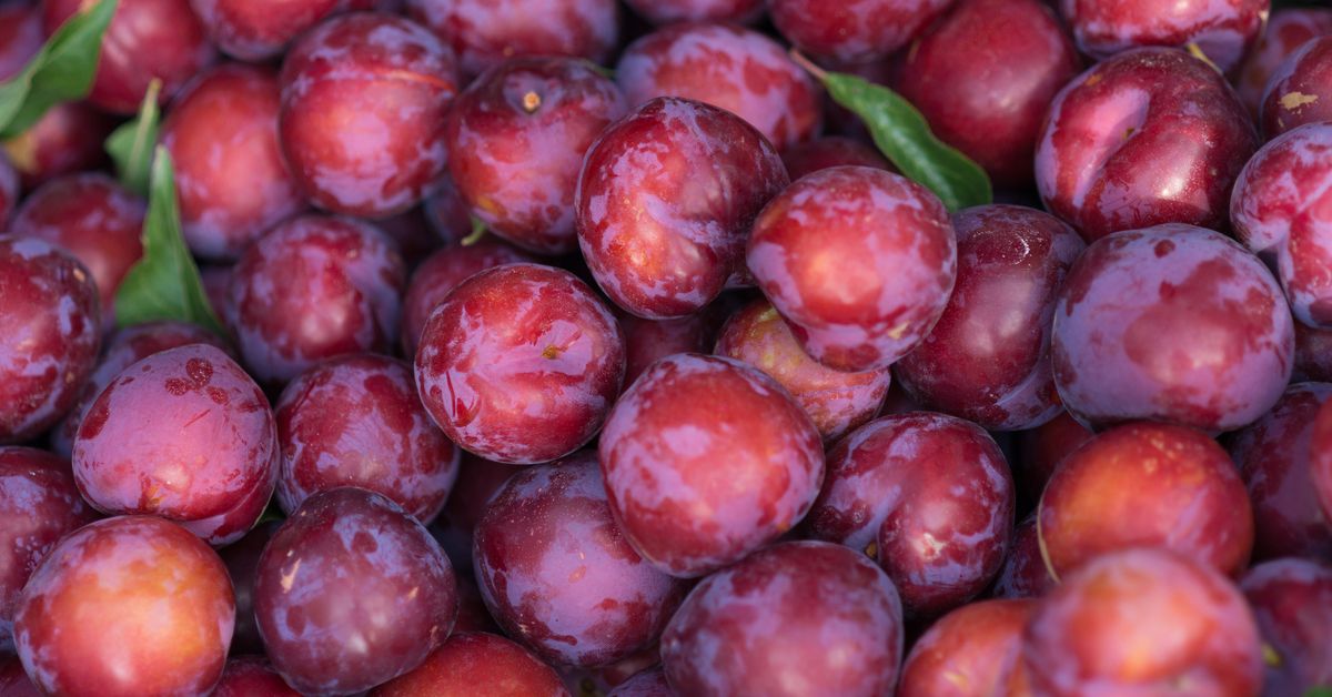 Two tasty plum dishes your family will love