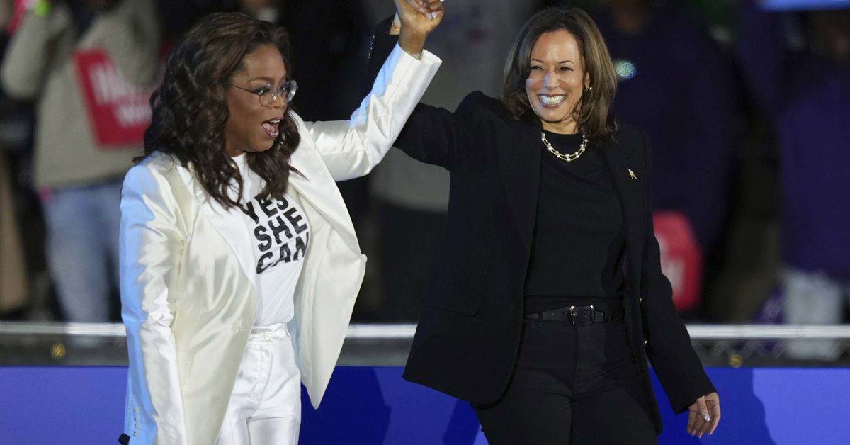 US Election 2024: What is the 'red mirage' or the 'blue shift' and will ...