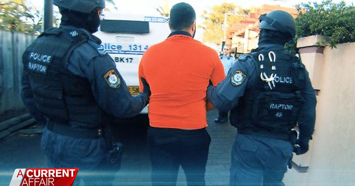 NSW Police sting: Behind scenes with Strike Force Raptor 'Week of Action'