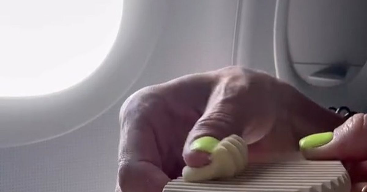 Plane food: Plane passenger makes pasta from scratch during recent ...