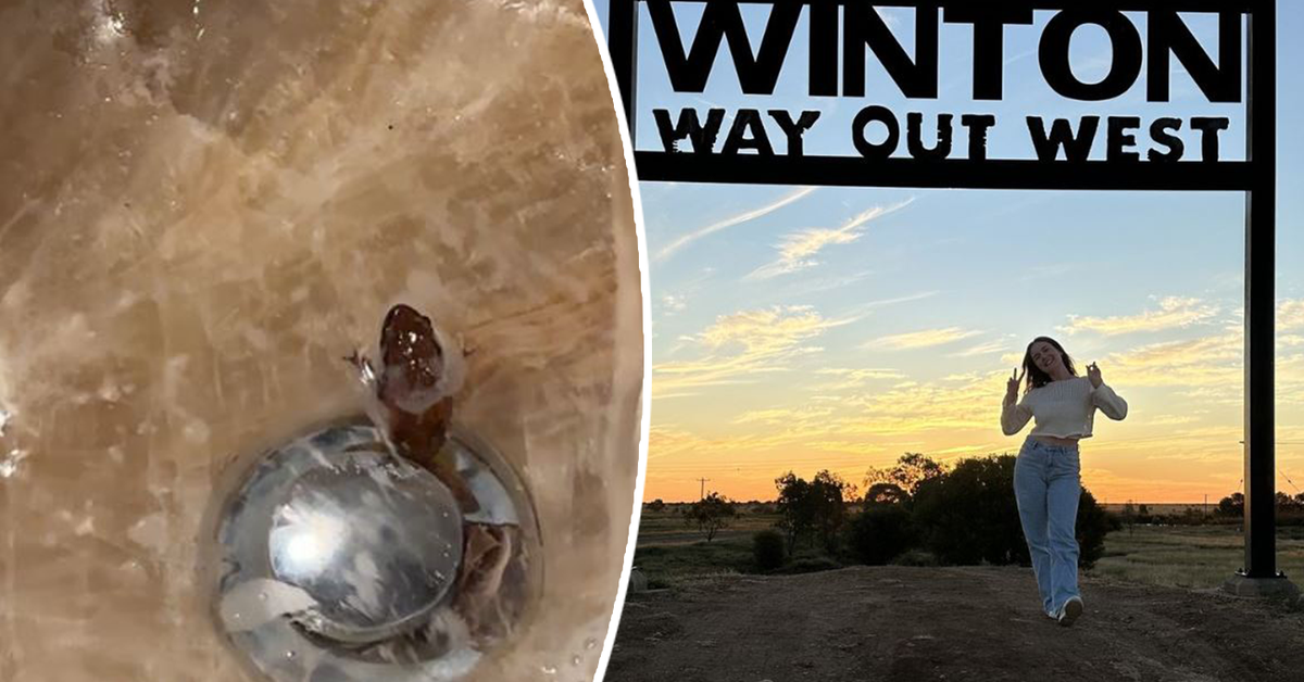 'Frogs emerged from my bathroom sink while visiting Winton - and that's ...