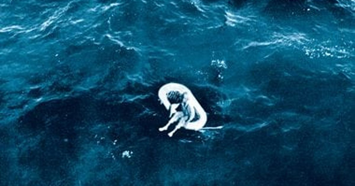 Terry Jo Duperrault: What happened to the 11-year-old Sea Orphan ...