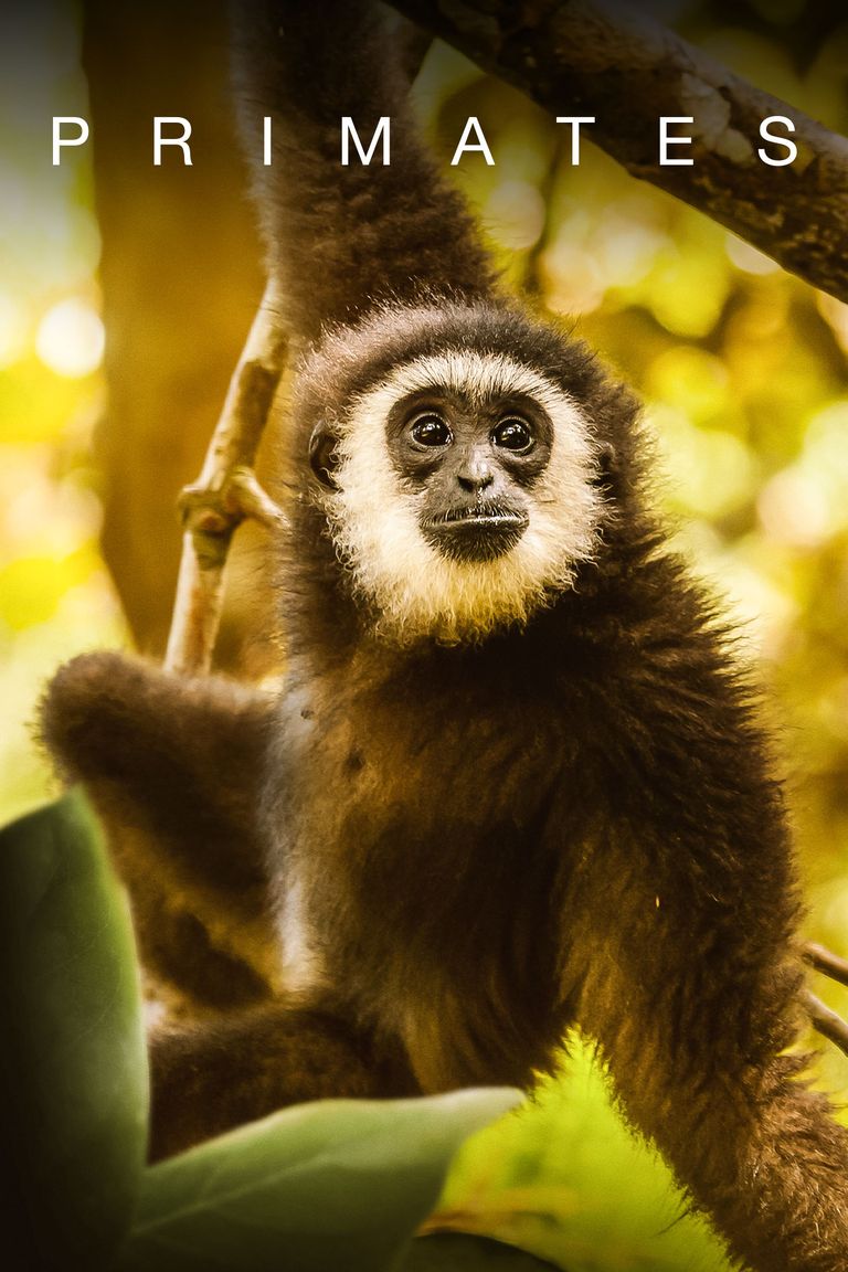 9Now | Stream Channel 9 live and on demand for free