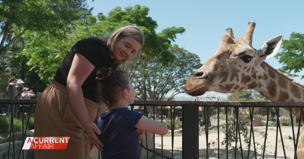 A Current Affair: Day at the zoo helps young leukemia survivor make up ...