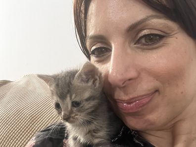 Fostering cats and kittens: 'Fostering kittens is a lot of fun, work ...