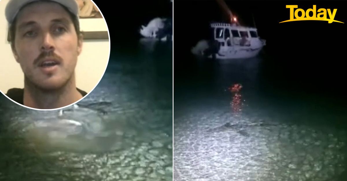 Fisherman left stranded on remote beach after 'freak shark attack'