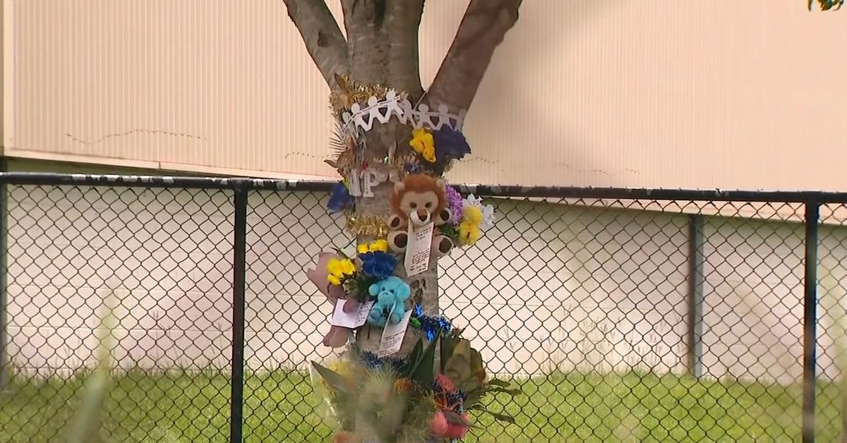 Durack toddler updates: Brisbane community mourns toddler who was hit ...