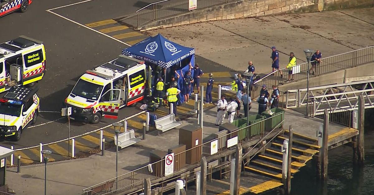 Sydney Harbour shark attack: Boy still in the 'fight of his life' after ...